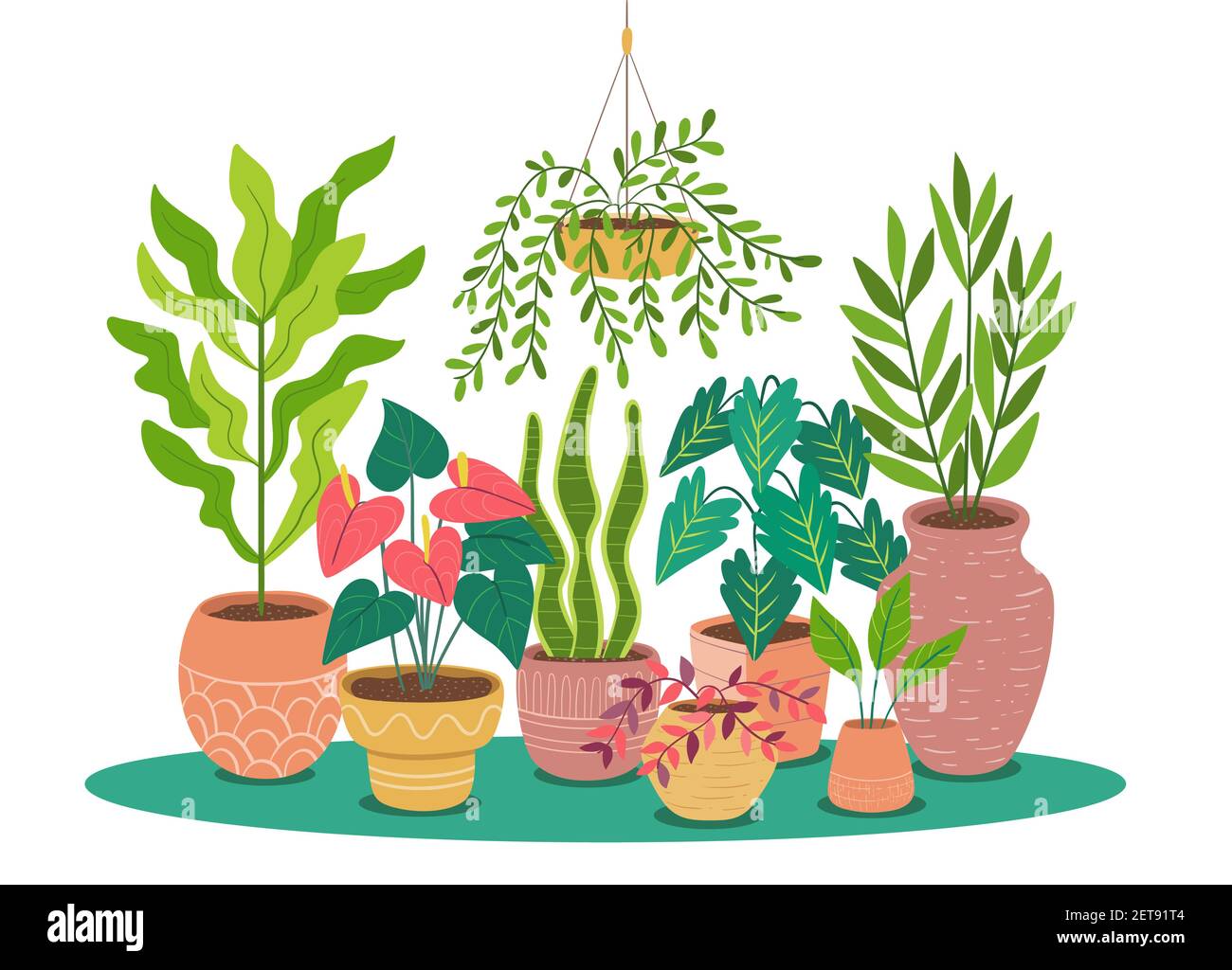 Beautiful background of decorative potted plants. Vector illustration ...