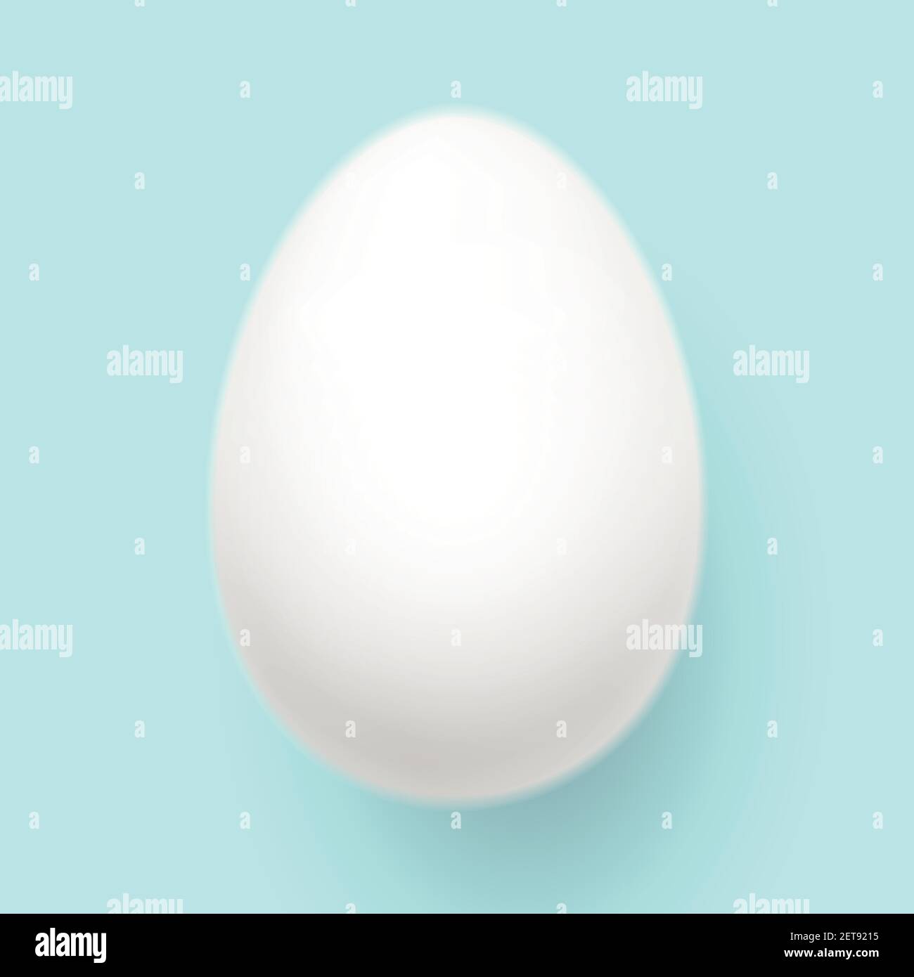 Big realistic white chicken egg with shadow on white background ...