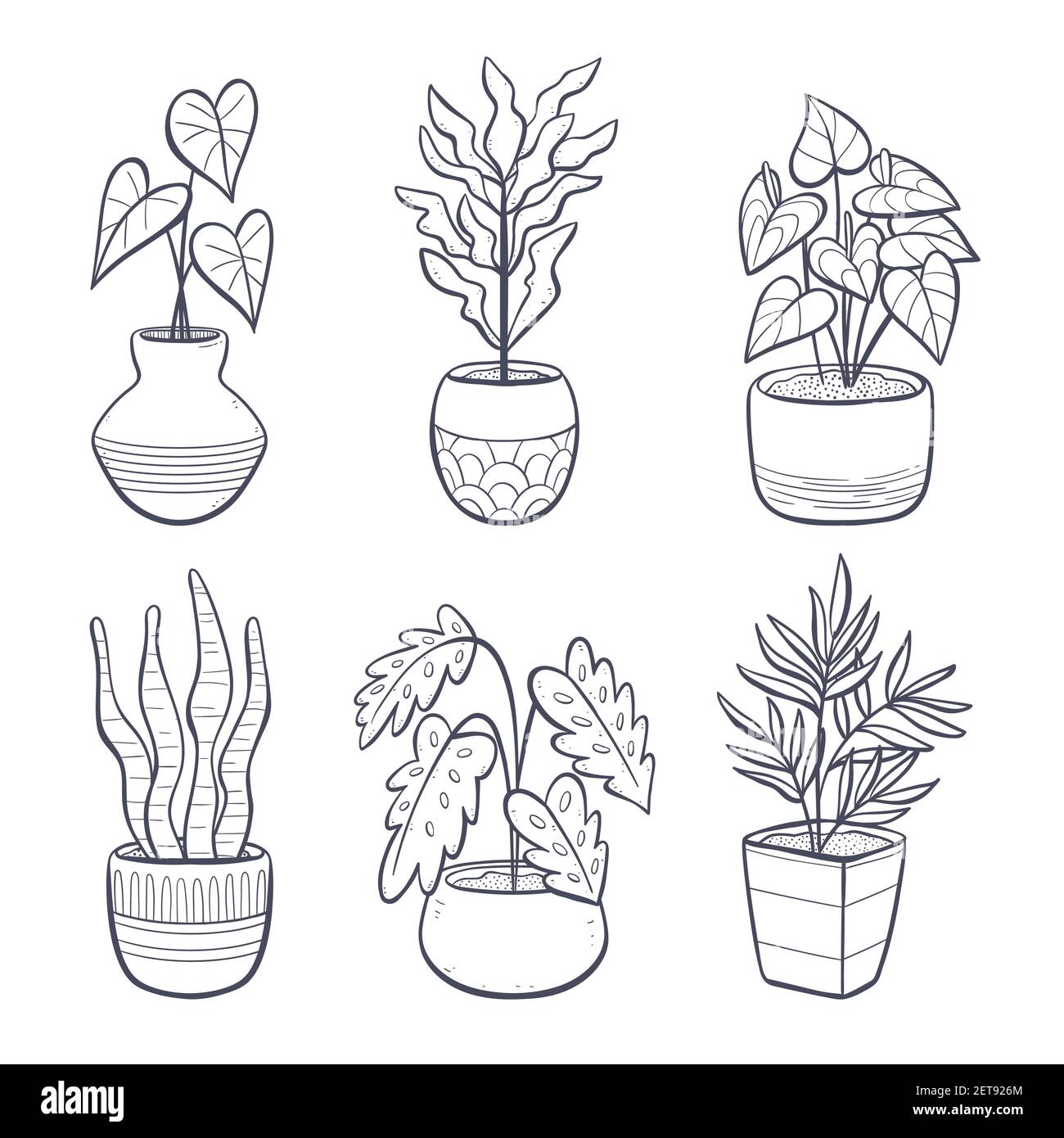 Collection of hand drawn houseplants isolated on white background. Set ...