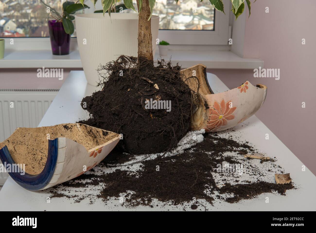Broken pot hi-res stock photography and images - Alamy