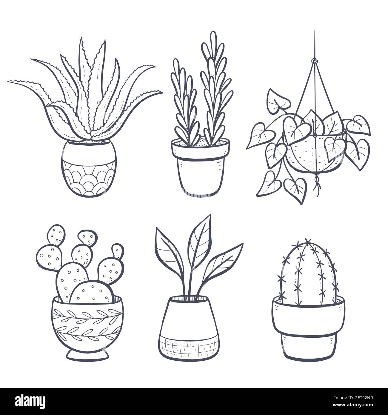 Collection of hand drawn houseplants isolated on white background. Set ...
