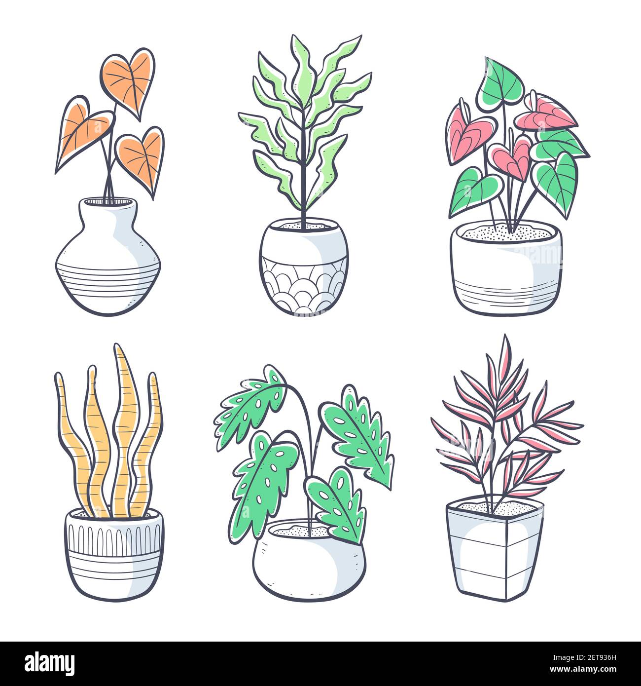 Plant collection indoor Stock Vector Images - Alamy