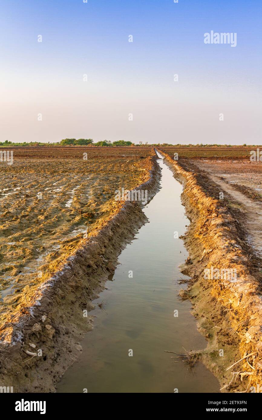 A wet field with water flowing through irrigation canal rows on a ...