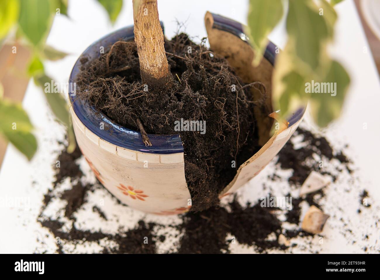 Broken pot hi-res stock photography and images - Alamy