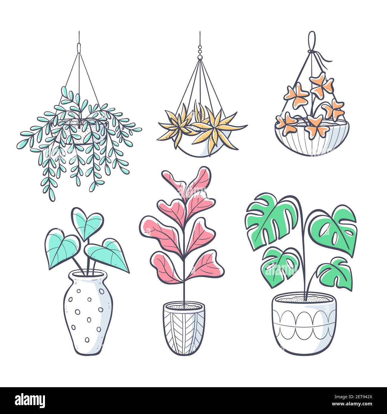 Collection of hand drawn houseplants isolated on white background. Set ...