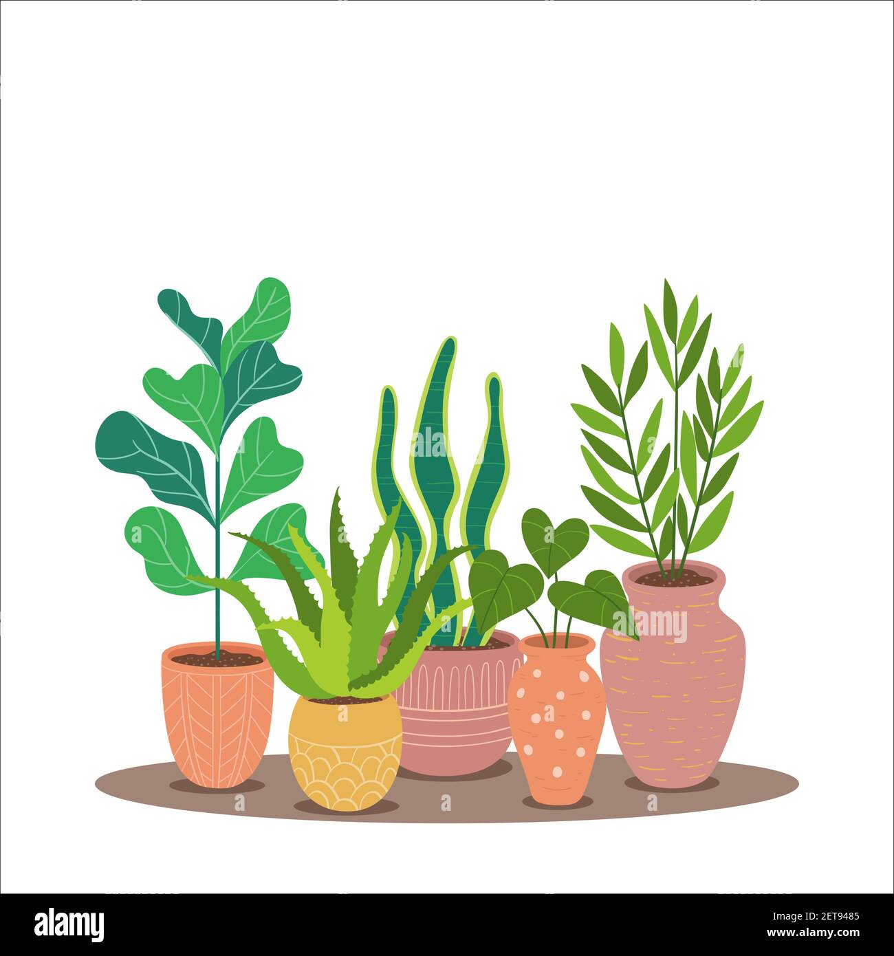 Beautiful background of decorative potted plants. Vector illustration ...