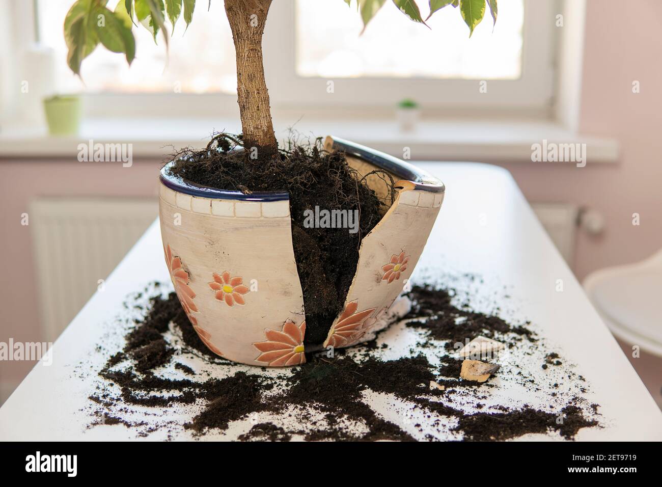 Broken pot hi-res stock photography and images - Alamy