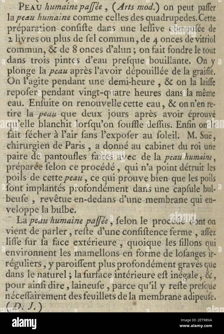 Peau humaine passee (tanned human skin) - Encyclopedie Stock Photo - Alamy