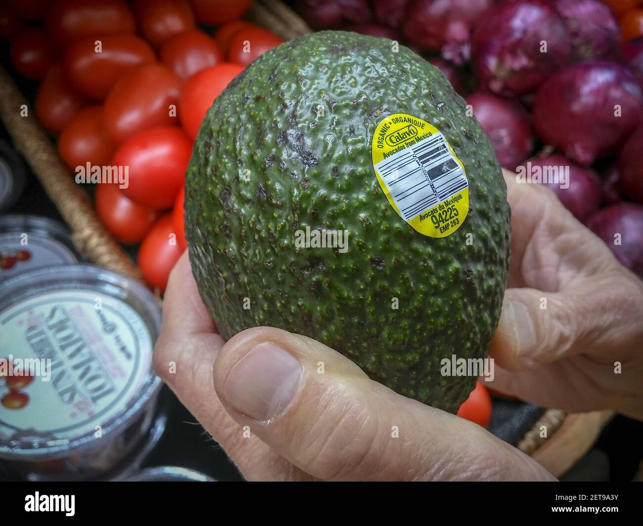 Calavo Growers branded Mexican avocados in a supermarket in New York on ...