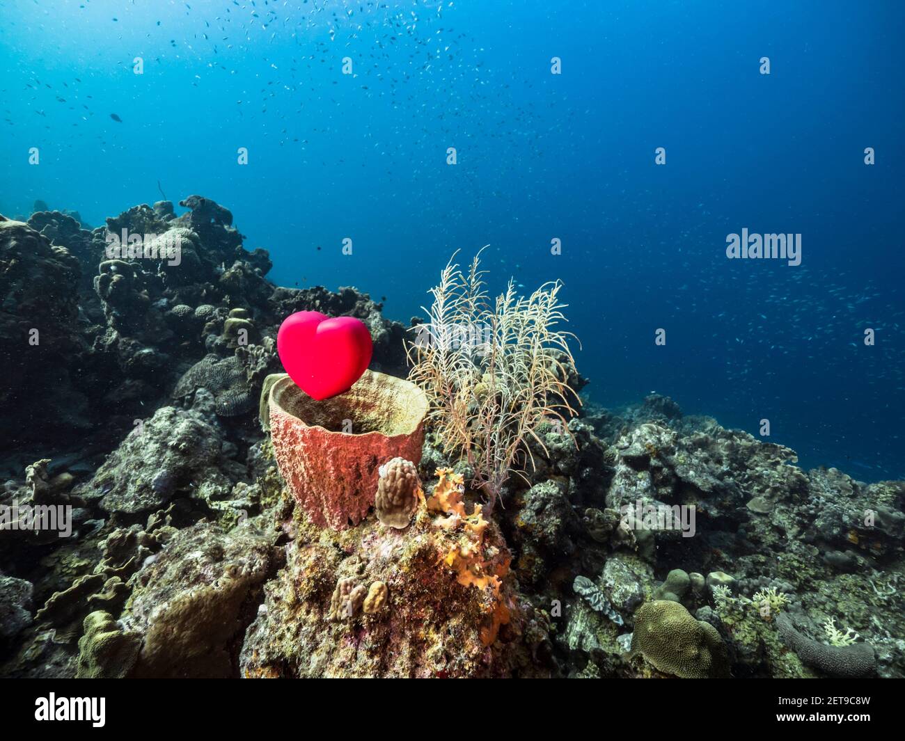 Seascape with red heart in coral reef of Caribbean Sea, Curacao ...