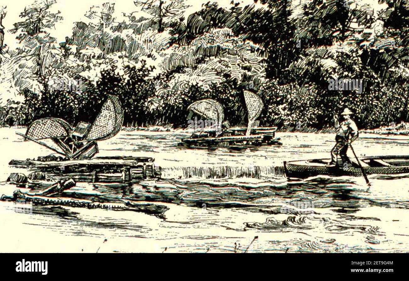 Pedee hi-res stock photography and images - Alamy