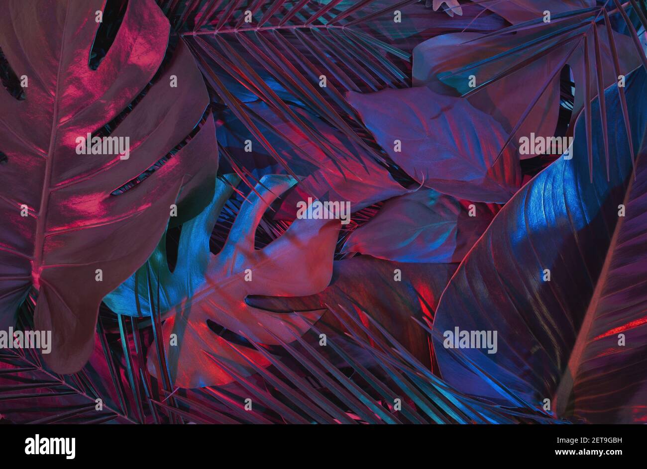 Fluorescent green tree hi-res stock photography and images - Alamy