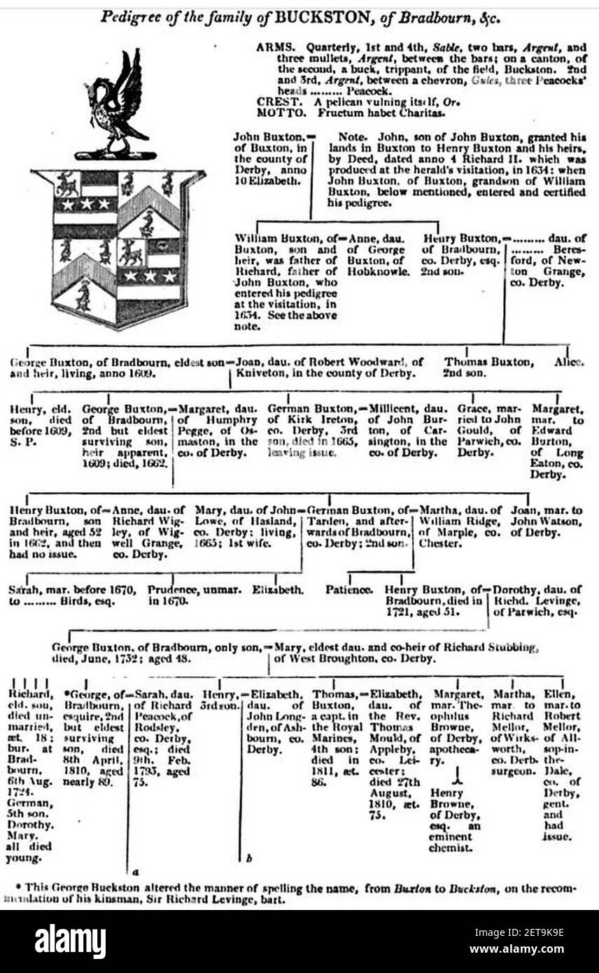 Pedigree of the family of Buckston of Bradbourne Stock Photo - Alamy