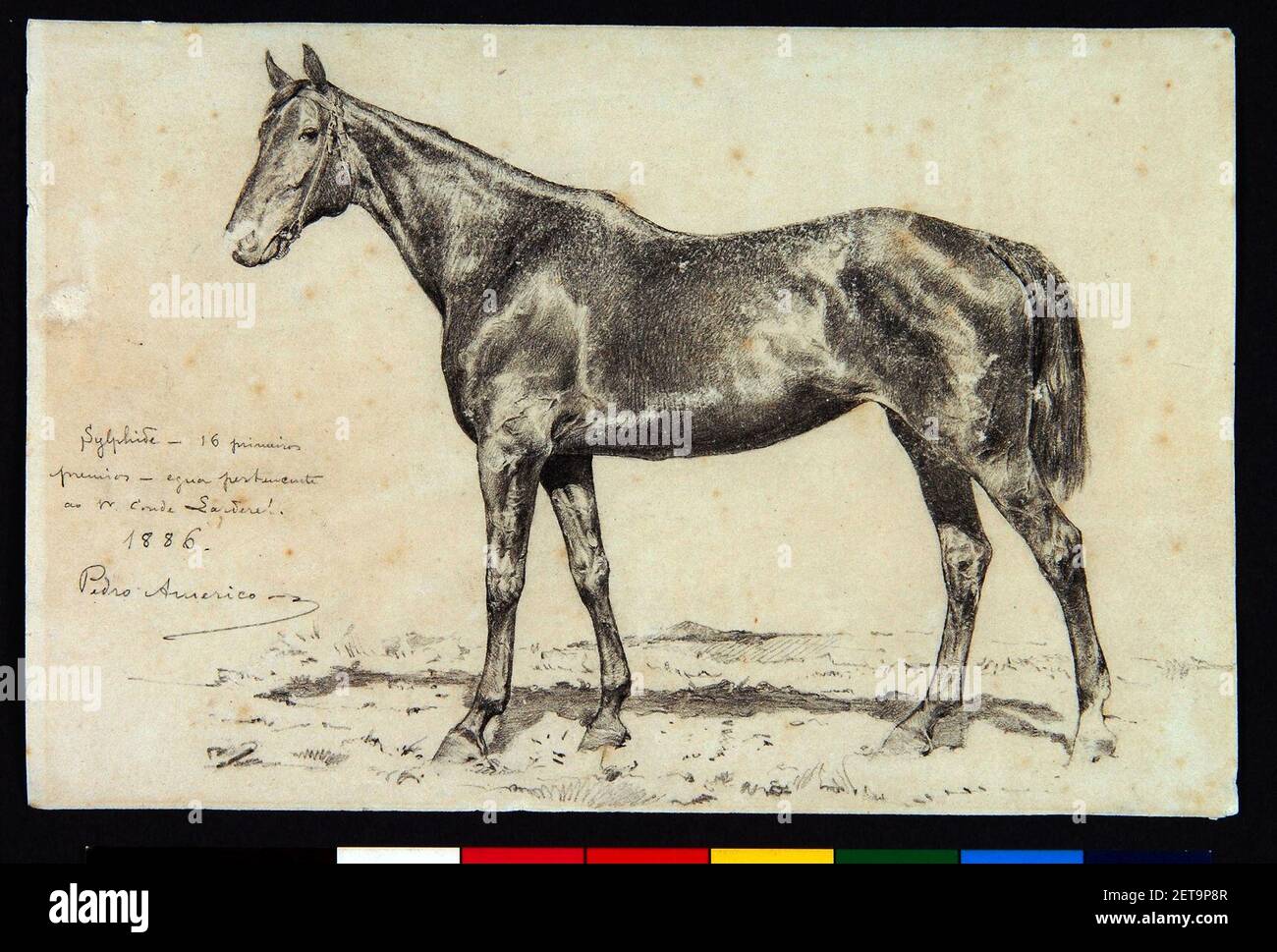 Pedro Américo - ''Silfide'' - Estudo Stock Photo - Alamy