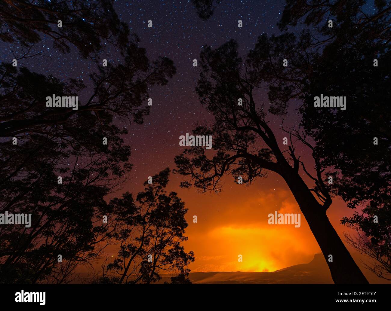 A mesmerizing starry evening sky view over trees Stock Photo - Alamy