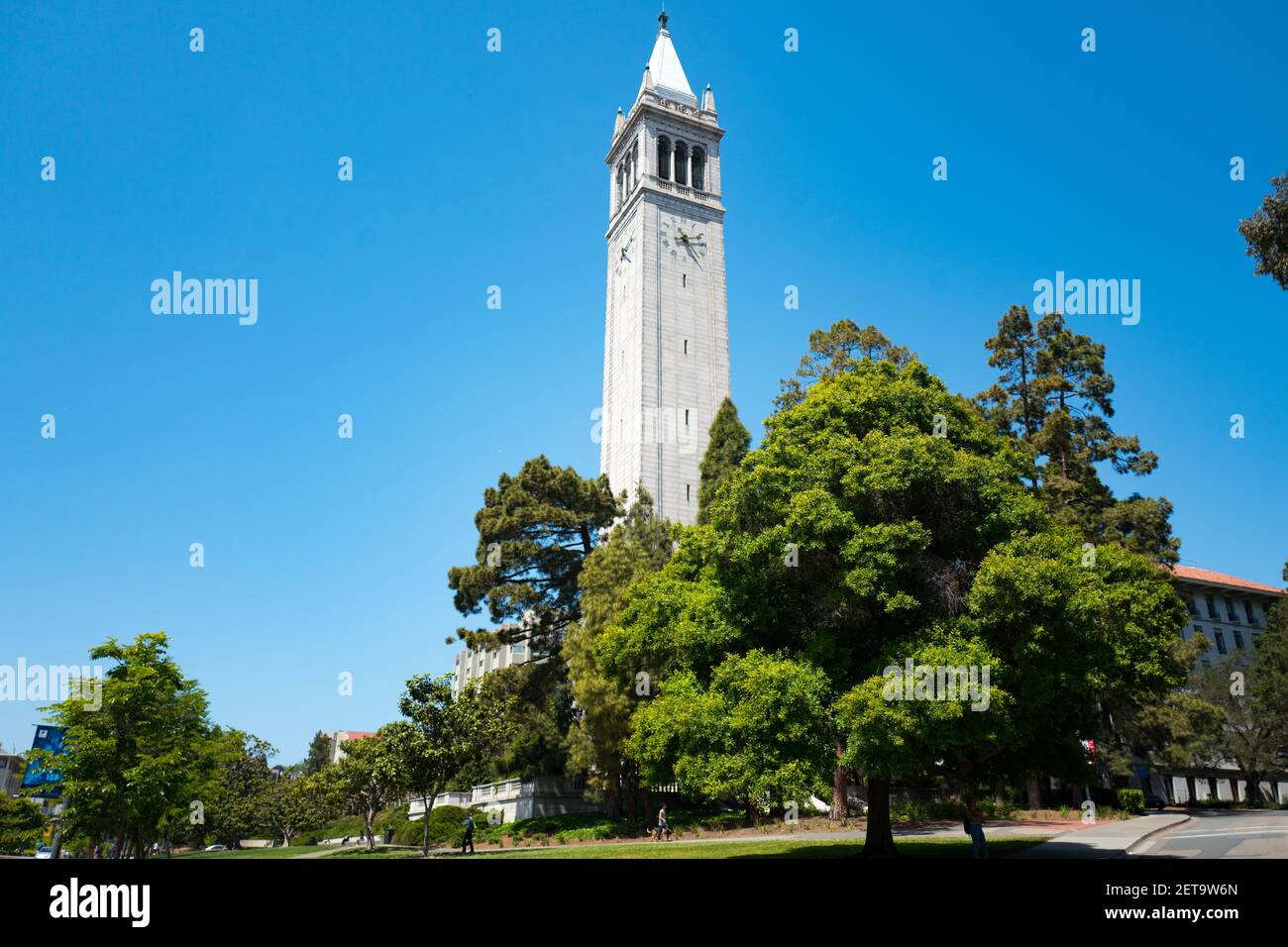 Campus buildings and Sather Tower, aka the Campanile, are visible among ...