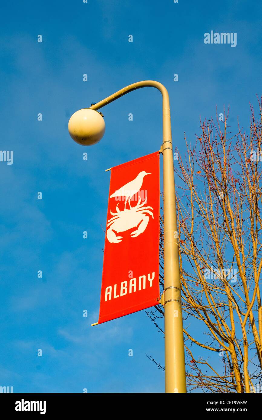 Low-angle view of banner on lamp post for the city of Albany ...