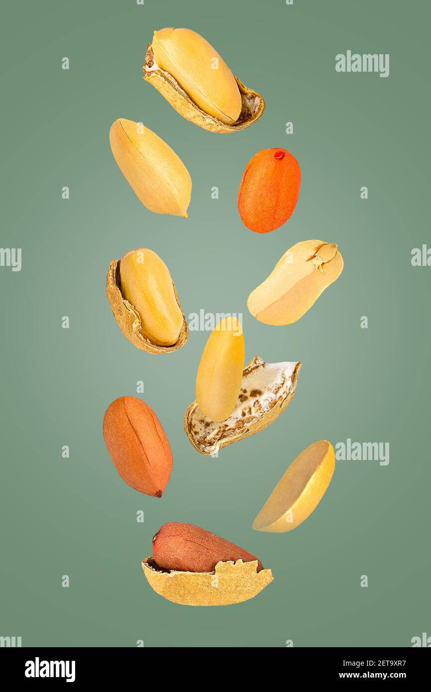 Falling down peanut isolated on trendy coloured background Stock Photo ...
