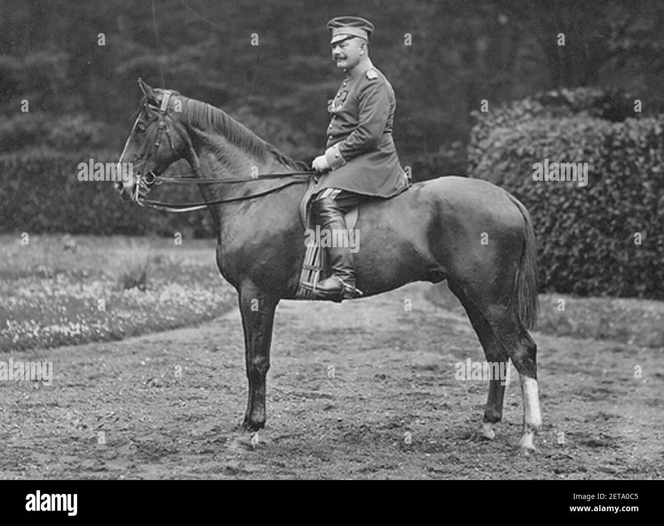 Pedro dartnell hi-res stock photography and images - Alamy