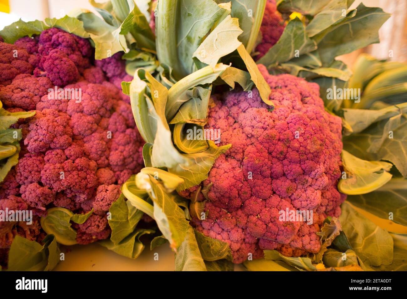 Three heads of purple cauliflower sitting on a table at a farmer's ...