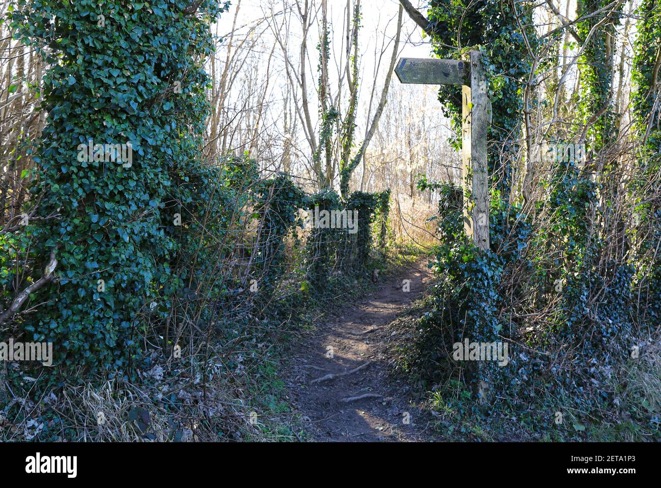 Long distance footpath path pathway route hi-res stock photography and ...