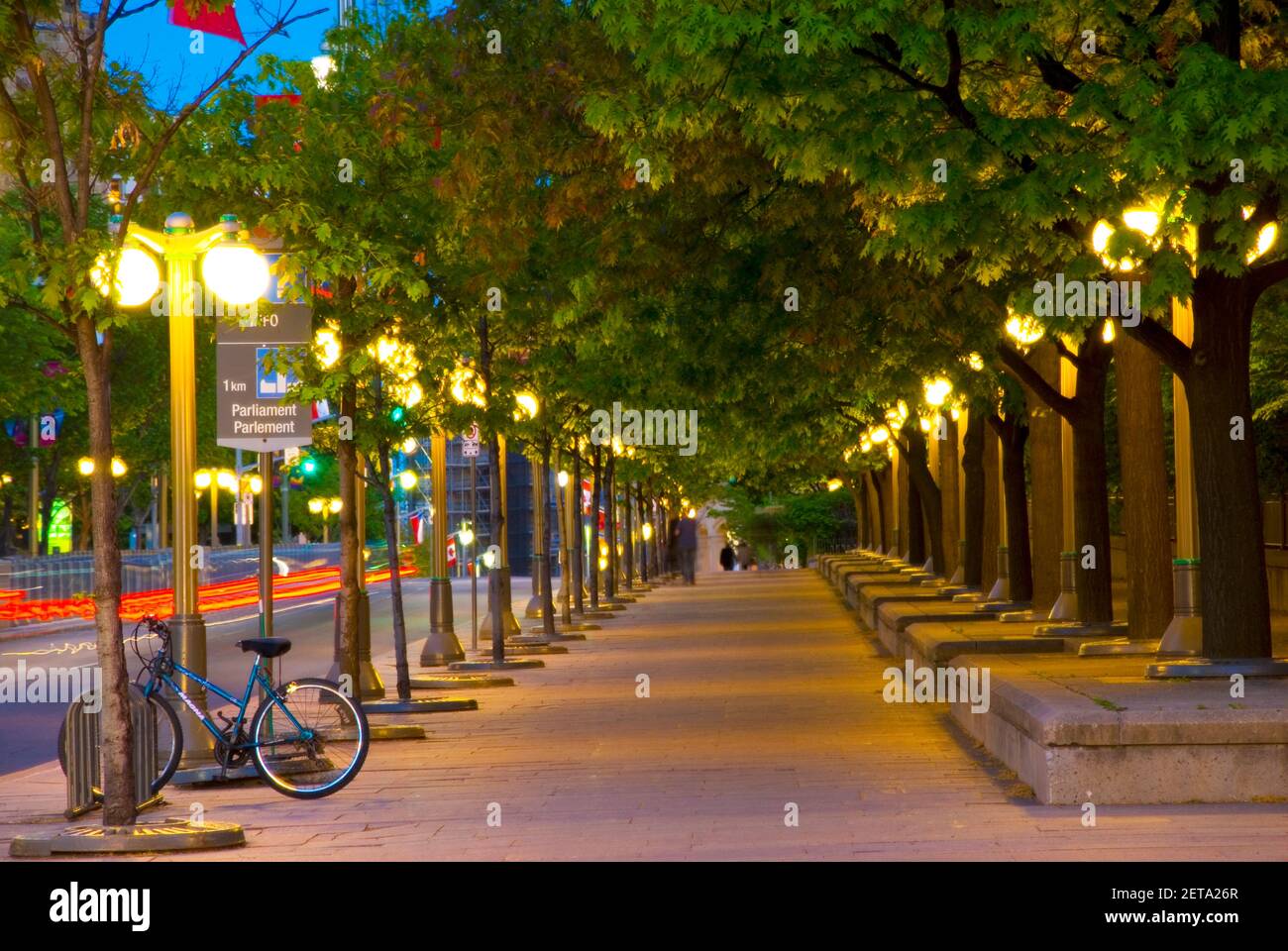 Tree Lined Street Scene at Night, Ottawa, Ontario, Canada Stock Photo ...