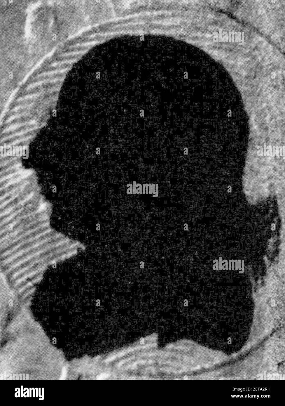 Pehr georg hi-res stock photography and images - Alamy