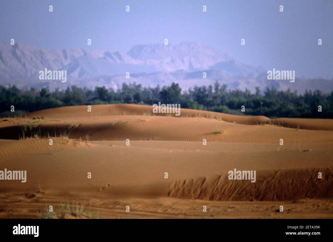 Al ain desert hi-res stock photography and images - Alamy