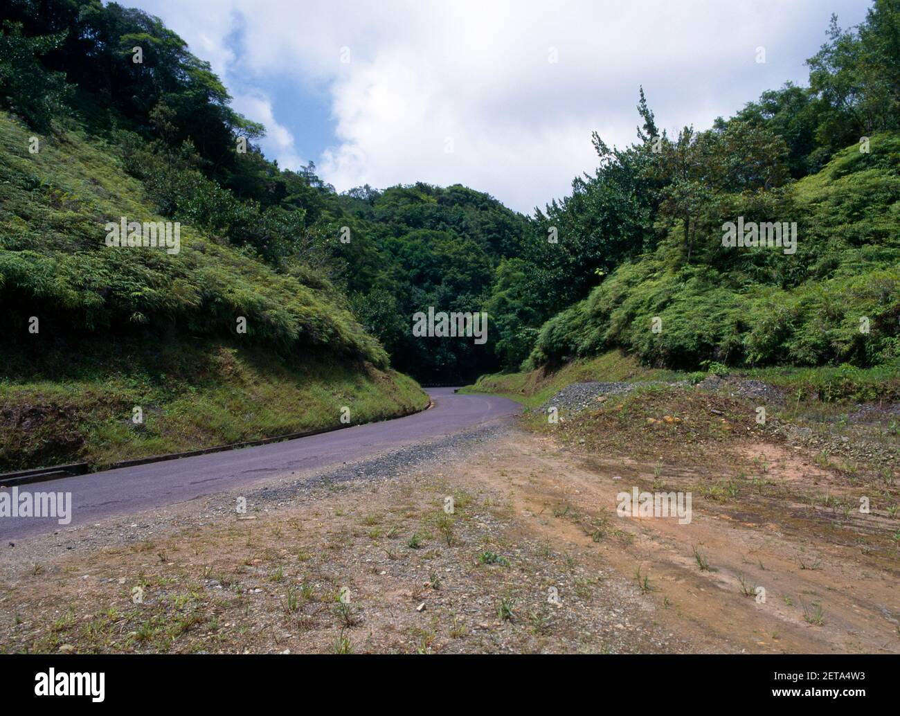 Forest In Trinidad And Tobago High Resolution Stock Photography and ...