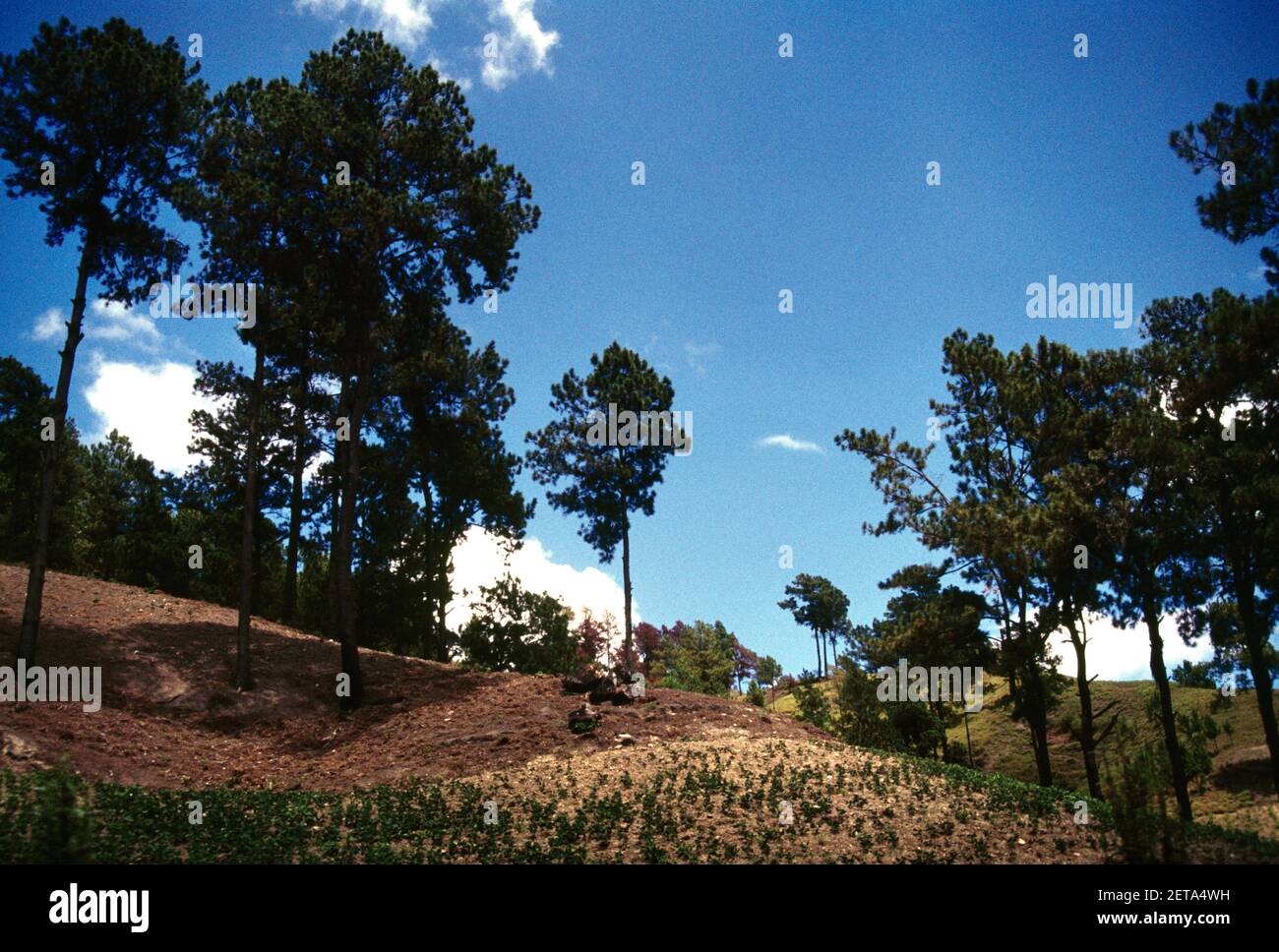 Domincan republic hi-res stock photography and images - Alamy