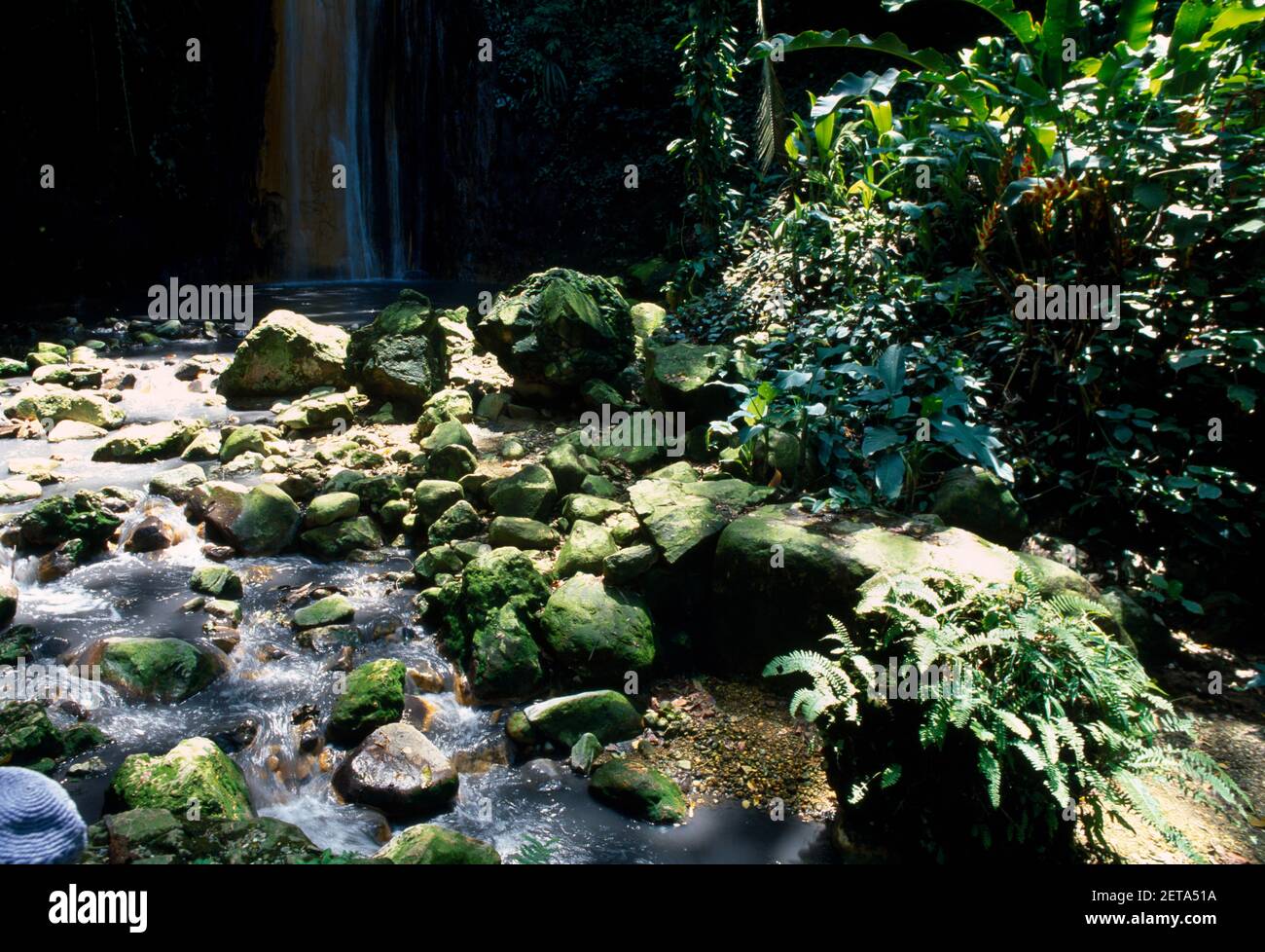Diamond River moss on rocks St Lucia Stock Photo - Alamy