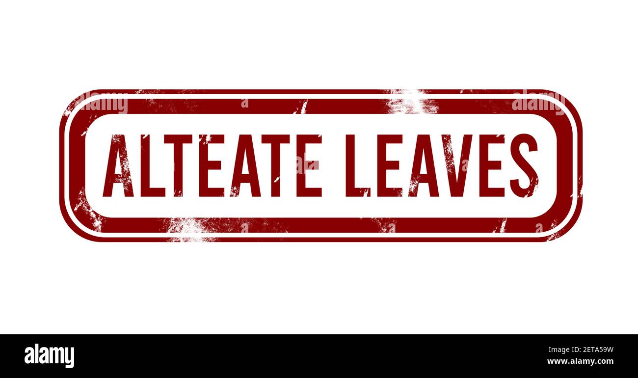 alteate leaves - red grunge button, stamp Stock Photo - Alamy