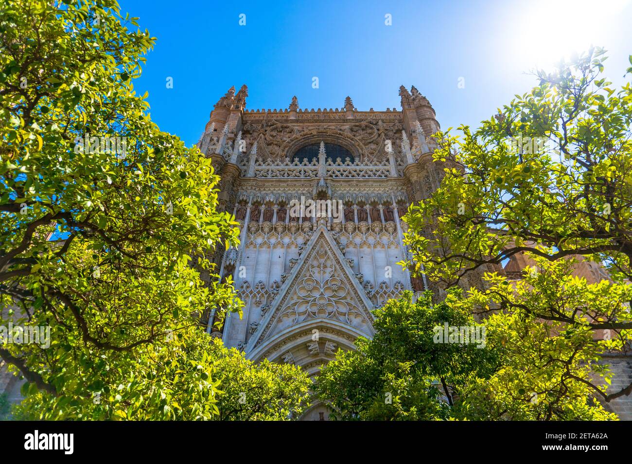A low angle photo of an architectural landmark taken from among the ...