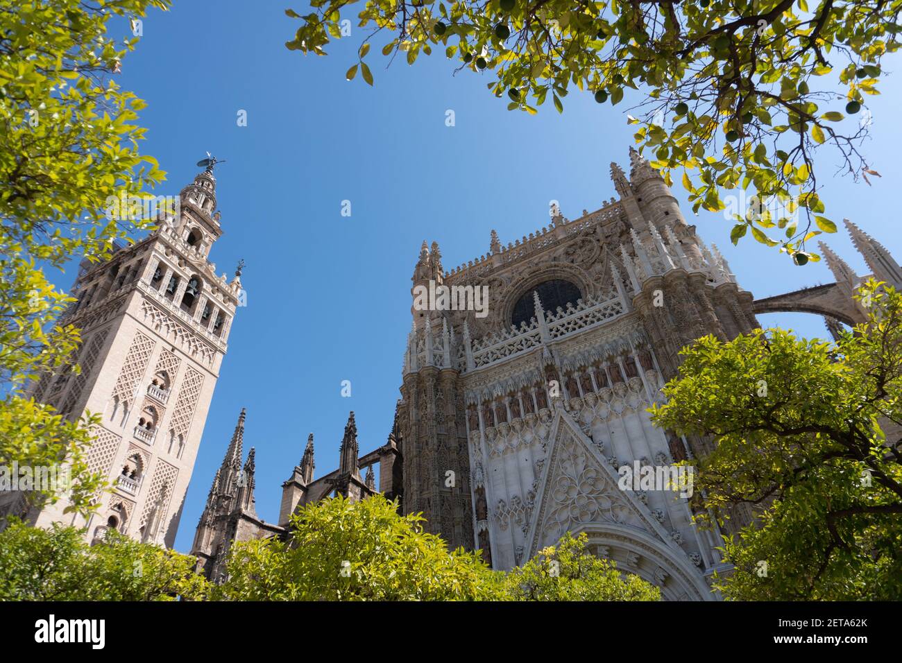 A low angle photo of an architectural landmark taken from among the ...