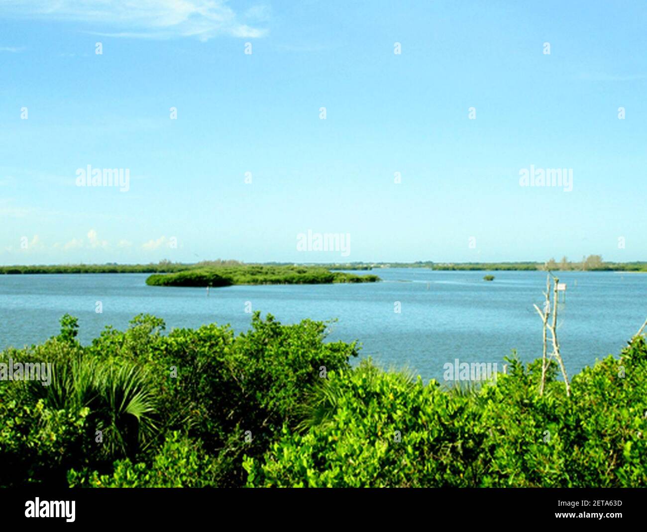 Pelican Island Indian River Lagoon Stock Photo - Alamy