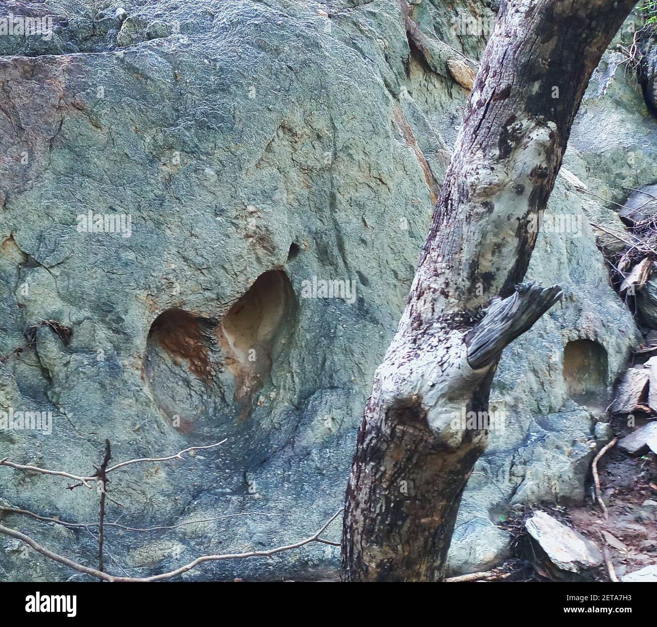 Natural heart-shaped formation on a rock in a forest at Silora ...