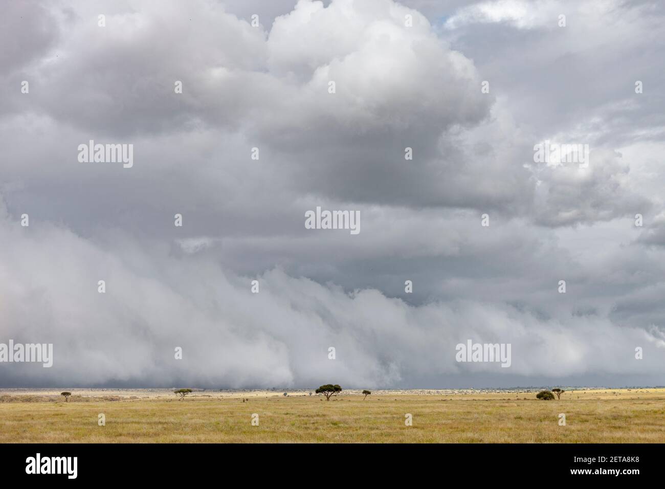 Late afternoon view across the plains, approaching storm rolling over ...