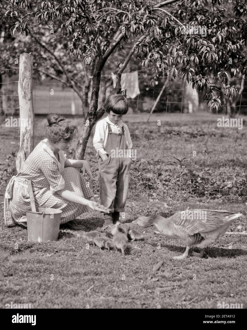 1920s farm life hi-res stock photography and images - Alamy