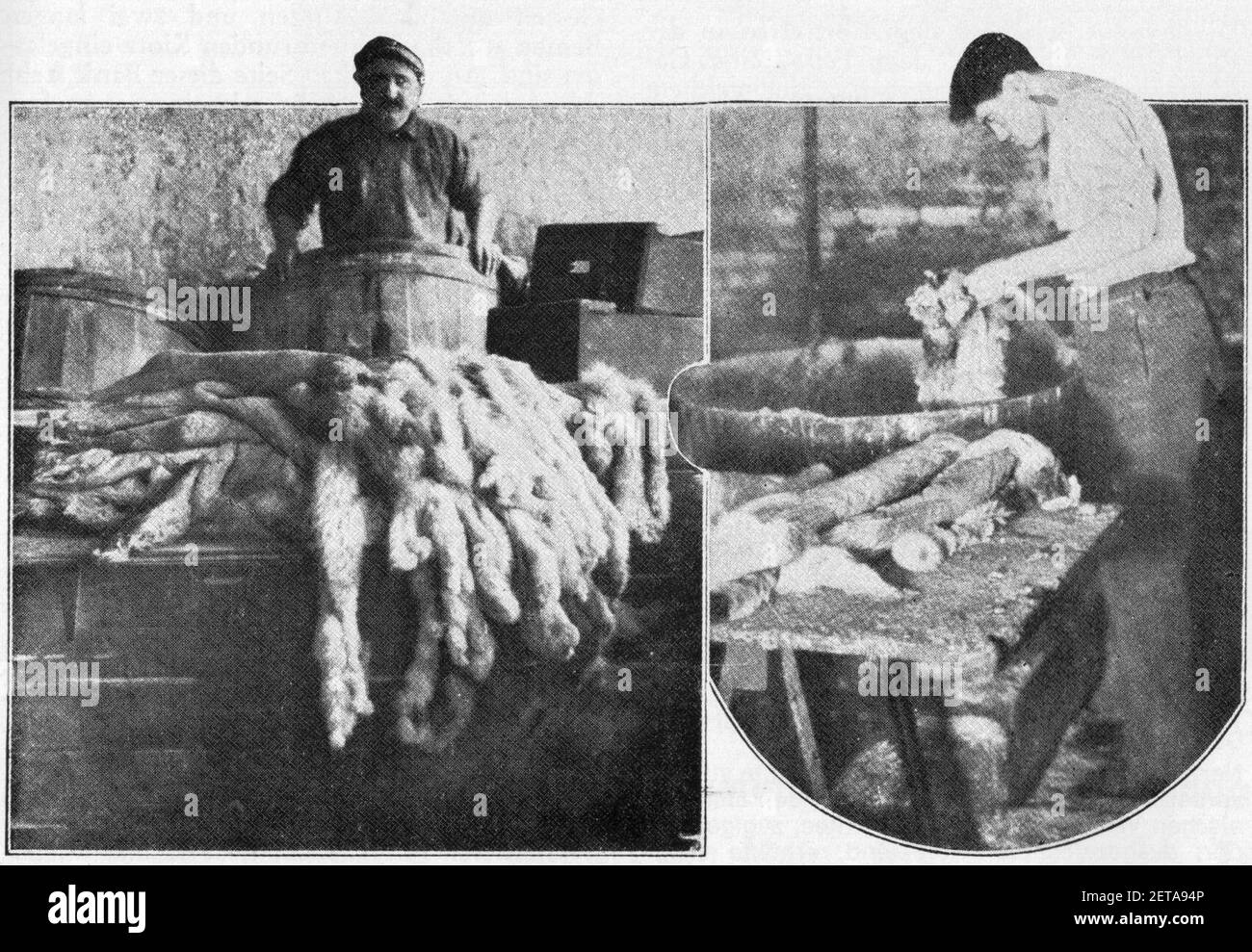 Der pelz Black and White Stock Photos & Images - Alamy