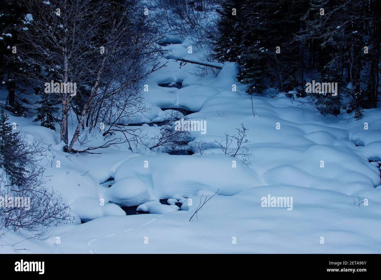 Canadian winter landscape in hi-res stock photography and images - Alamy