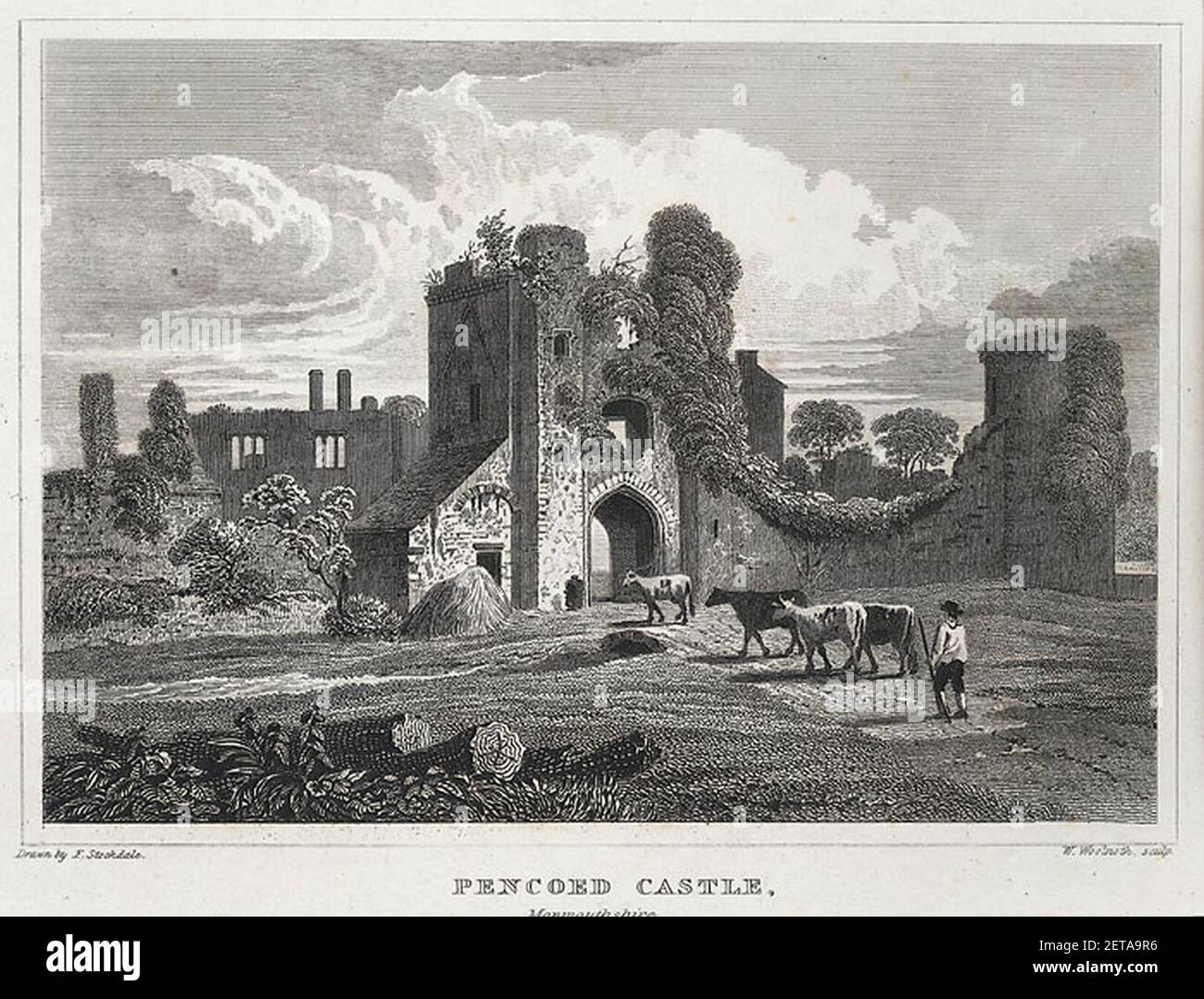 Pencoed Castle High Resolution Stock Photography and Images - Alamy