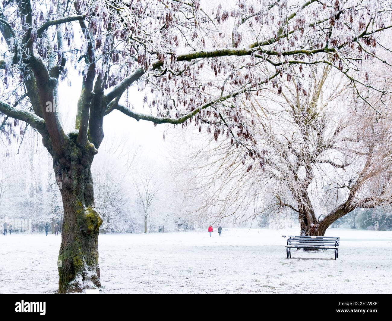 Hurst park hi-res stock photography and images - Alamy