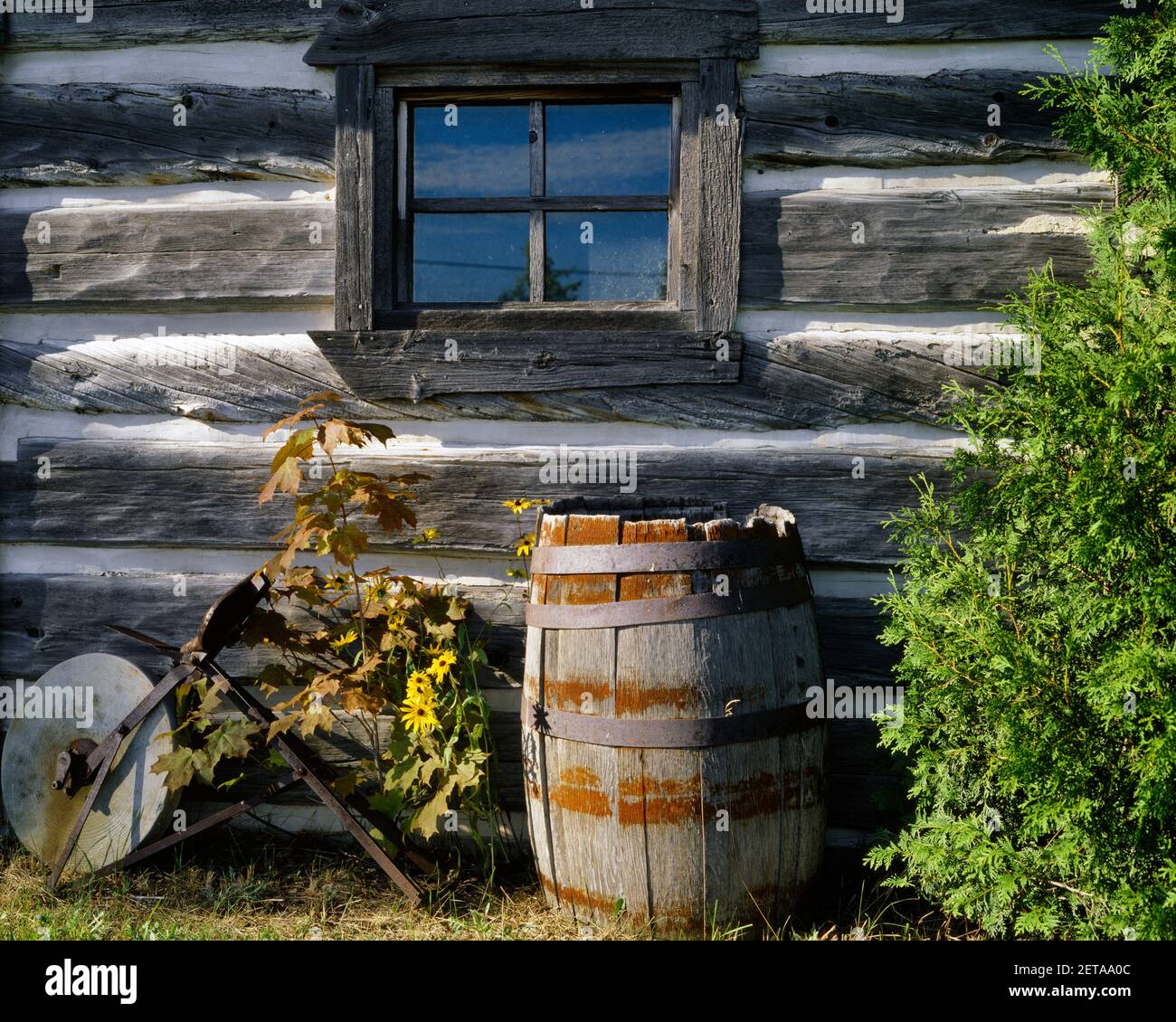 1980s 19TH CENTURY PIONEER LOG CABIN CHINKED LOGS WINDOW RUSTED BARREL ...
