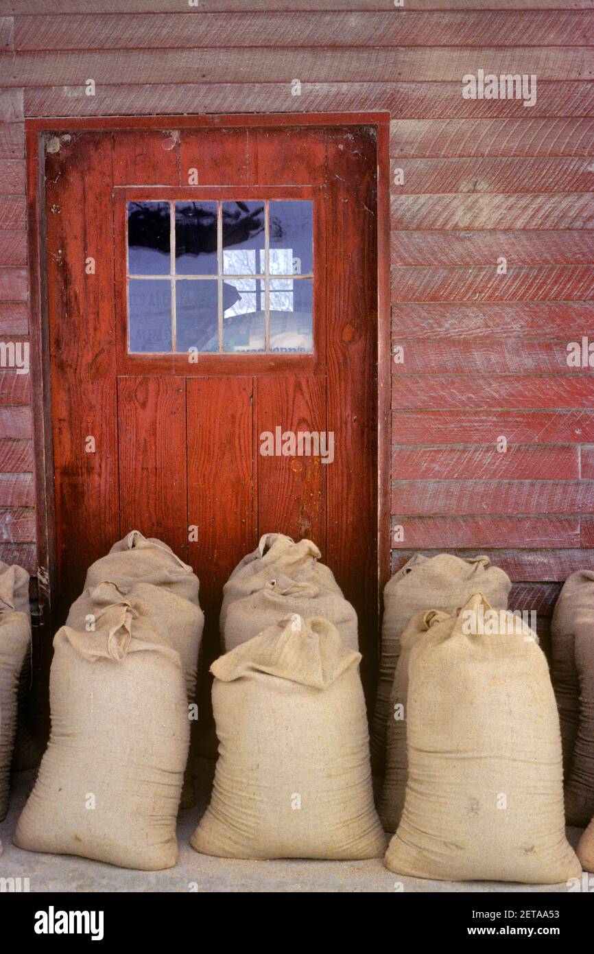 1970s FULL GRAIN SACKS STACKED AGAINST RED WOODEN BARN DOOR WITH GLASS ...