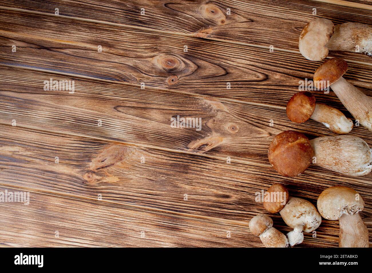 Mushroom Boletus over Wooden Background. Autumn Cep Mushrooms. Ceps ...