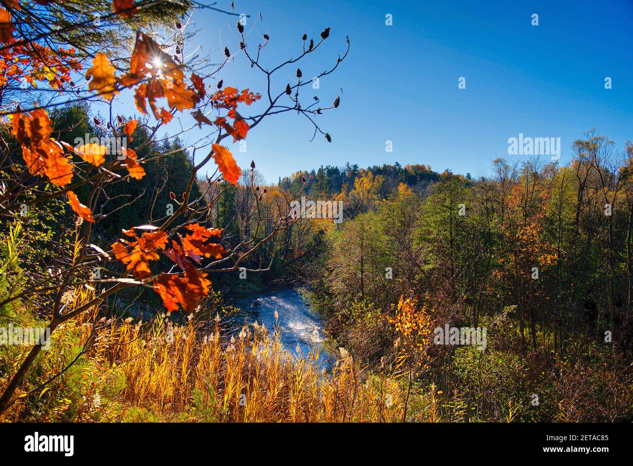 Beautiful view of the river valley in autumn with lens flare Stock ...