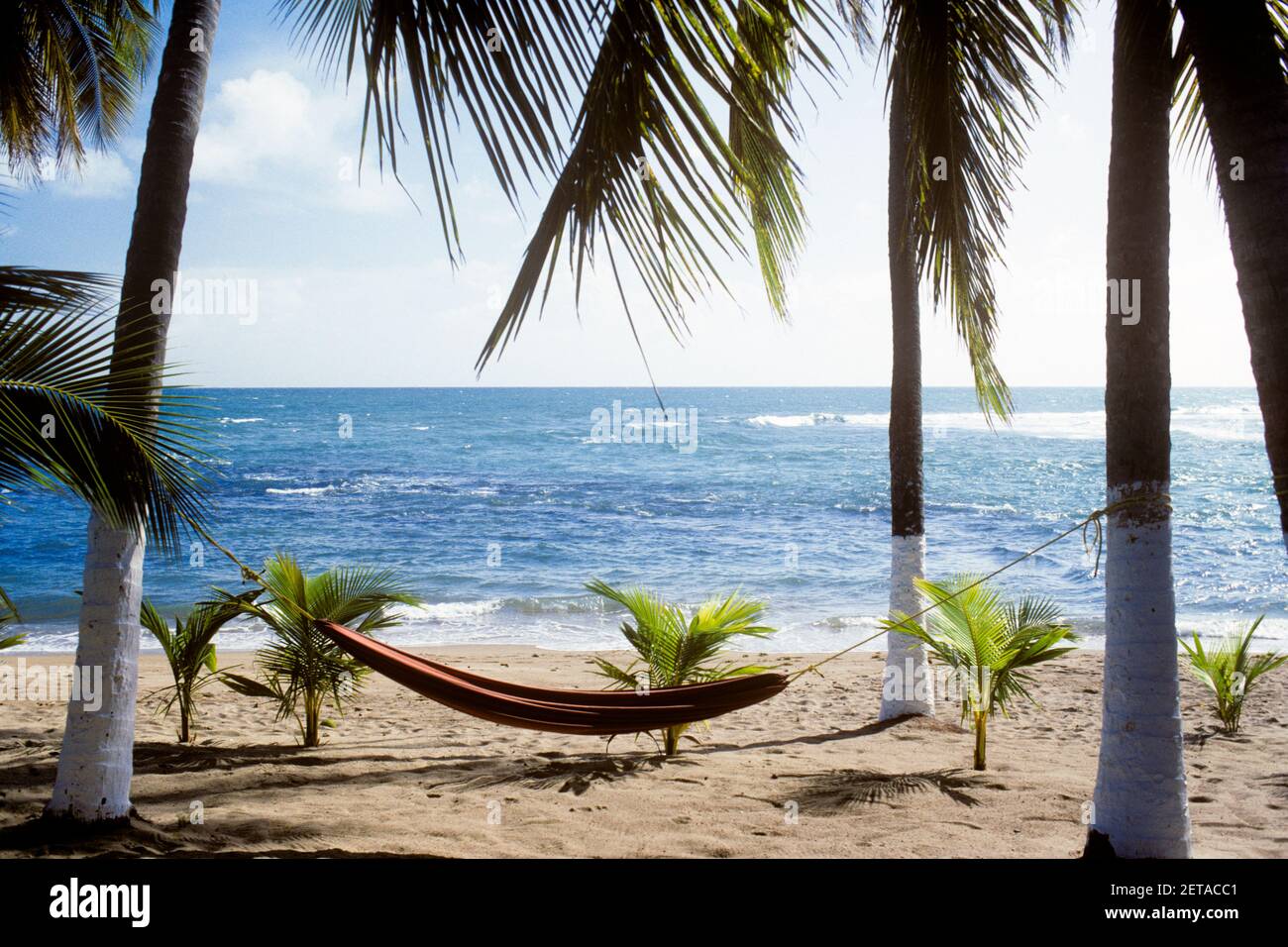 1990s CARIBBEAN SCENIC HAMMOCK AND PALMS ON BEACH AT WATERS EDGE ...