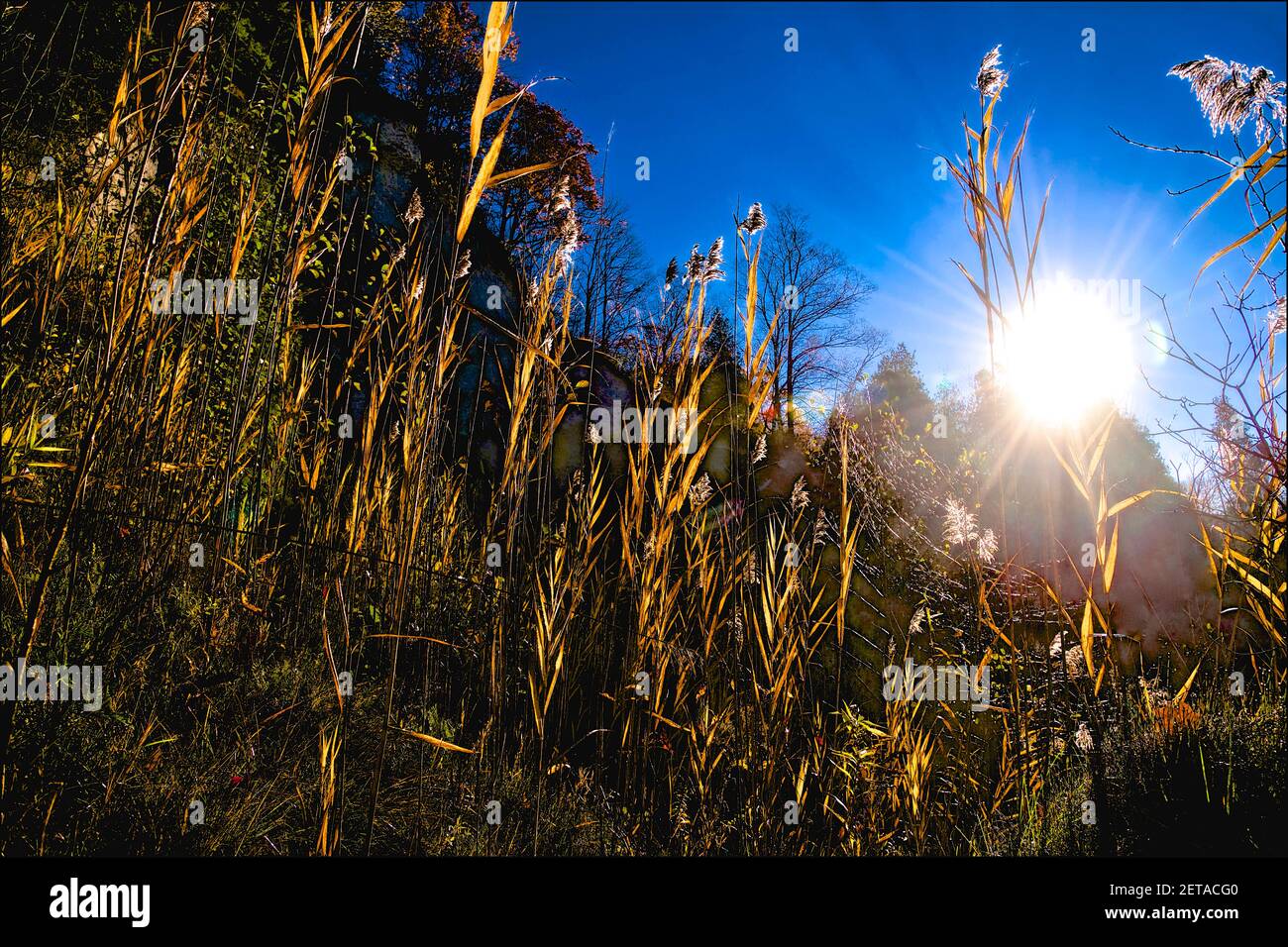 Sunbeam family hi-res stock photography and images - Alamy