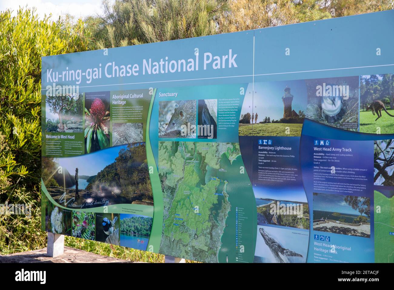 Ku Ring Gai chase national park near Sydney, Australia's second oldest ...