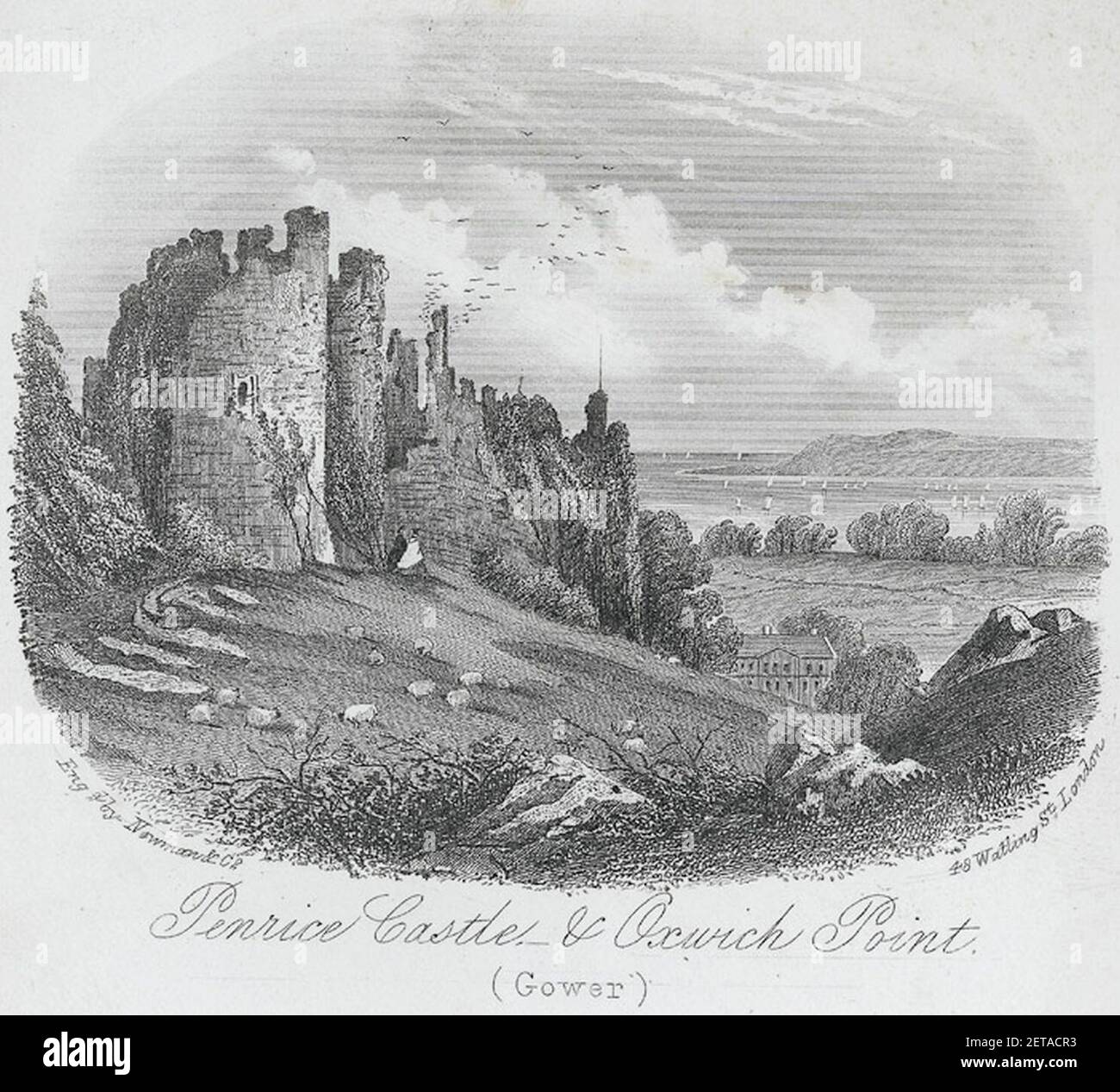 Penrice castle, & Oxwich point, Gower Stock Photo - Alamy